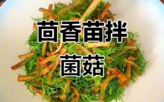 茴香苗怎么吃最好_茴香苗的做法大全