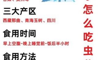 冬虫夏草怎么吃_冬虫夏草的正确吃法