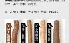 铁棍山药的功效与作用_铁棍山药的营养价值