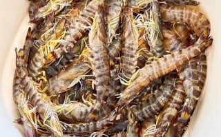 竹节虾和基围虾的区别_哪个更好吃