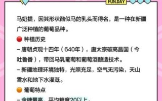 马奶提子是什么品种_马奶提子图片怎么辨别真假