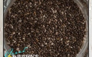 韭菜籽的功效与作用及禁忌_韭菜籽怎么吃效果最好