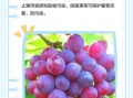 面粉洗葡萄的正确方法_为什么用面粉洗葡萄更干净