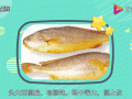 石首鱼科有哪些常见品种_石首鱼科和黄花鱼区别