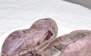 紫薯可以烤着吃吗_紫薯烤箱做法