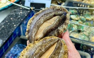 鲍鱼多少钱一只_鲍鱼价格为什么差异大