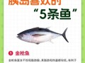 金枪鱼的营养价值及功效与禁忌_孕妇能吃吗