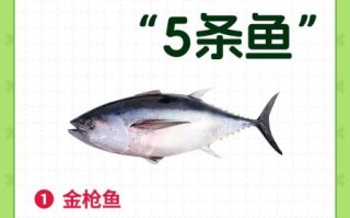 金枪鱼的营养价值及功效与禁忌_孕妇能吃吗