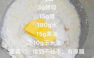家用烤箱做披萨怎么做_披萨饼底怎么发酵才松软
