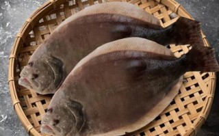 深海鲽鱼长什么样子_深海鲽鱼能吃吗