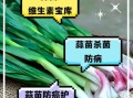 蒜苗吃多了有什么副作用_蒜苗吃多了会上火吗