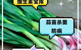 蒜苗吃多了有什么副作用_蒜苗吃多了会上火吗