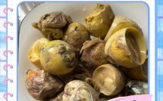 活珠子怎么煮_活珠子的正确吃法