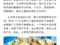 土豆多久能收获_土豆怎么种植