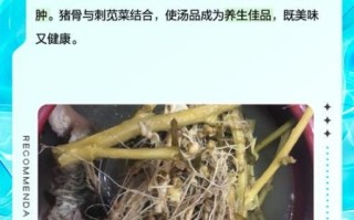 刺菜泡水喝有什么好处_刺菜泡水喝的正确方法