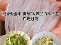 银鱼怎么做好吃_银鱼的营养价值