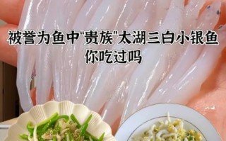 银鱼怎么做好吃_银鱼的营养价值