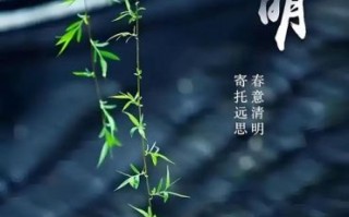 清明节好看的图片去哪找_如何挑选高清壁纸
