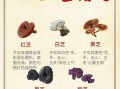 灵芝产地有哪些_中国灵芝主产区分布