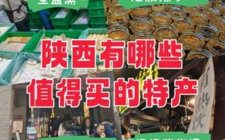 陕西土特产有哪些值得买_陕西十大特产送礼推荐