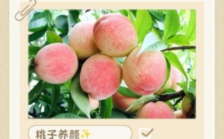 桃子一天吃几个最好_桃子吃多了会怎样