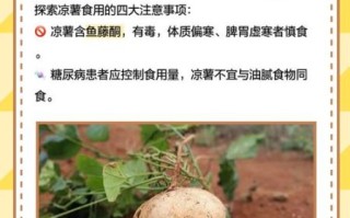 凉薯是什么_凉薯怎么吃