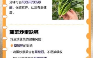 菠菜炒鸡蛋的功效与作用_菠菜炒鸡蛋的营养价值
