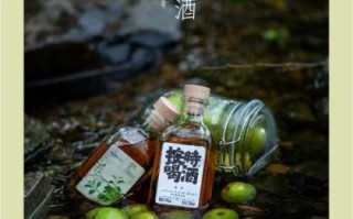 青梅酒的功效与作用禁忌_青梅酒能每天喝吗