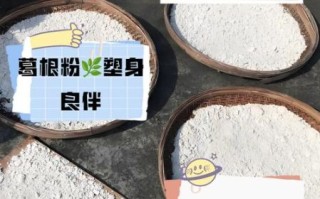 葛根搭配什么丰胸最快_葛根丰胸多久见效