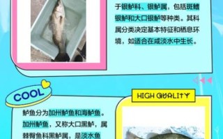 鲈鱼是深海鱼吗_鲈鱼生活习性揭秘
