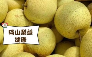 砀山梨是雪梨吗_砀山酥梨和雪梨区别