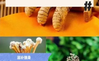 金蝉花怎么吃治肾病_金蝉花肾病用量多少