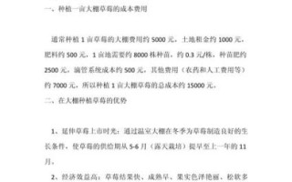 草莓种植大棚投资多少钱_一亩地成本明细