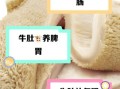 牛肉和牛肚哪个更营养_吃牛肚好还是牛肉好