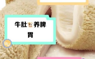 牛肉和牛肚哪个更营养_吃牛肚好还是牛肉好