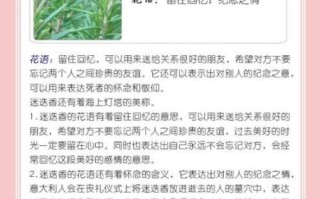 迷迭香的花语是什么_迷迭香代表什么意义