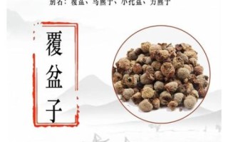 覆盆子功效与作用_覆盆子怎么吃效果最好