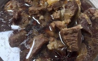 炖肉的做法大全视频_家常炖肉怎么做才软烂入味