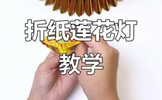 荷花灯折纸步骤_荷花灯折纸教程