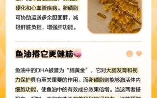 鱼油和卵磷脂什么时候吃最好_怎么吃吸收率最高