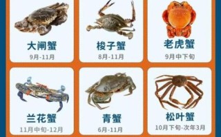 螃蟹种类及名称图片_如何快速识别常见蟹类 螃蟹种类及名称图片_如何快速识别常见蟹类