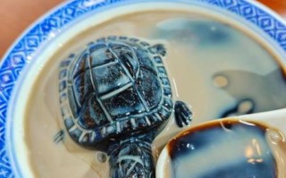 龟苓膏的做法家常做法_龟苓膏怎么煮不苦