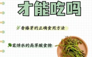 香椿焯水几分钟_香椿焯水多久才安全 香椿焯水几分钟_香椿焯水多久才安全