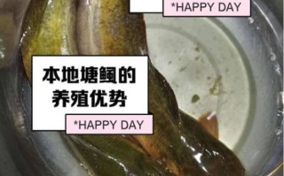 塘鲺怎么读_塘鲺是什么鱼