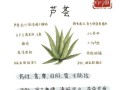 哪种芦荟有毒照片_如何辨别有毒芦荟品种