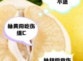 柚子不能和什么一起吃_柚子与哪些食物相克