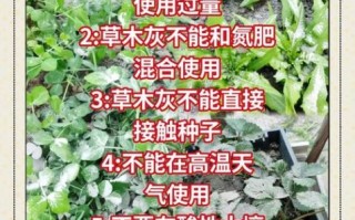 草木灰是酸性还是碱性_草木灰改良土壤怎么用