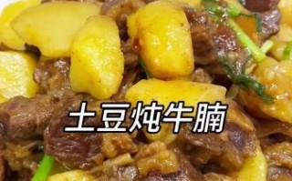 土豆炖牛肉怎么做好吃又简单_家常做法窍门