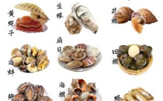 海鲜种类大全图片名称有哪些_如何快速识别常见海鲜
