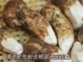 松茸怎么清洗_松茸清洗的正确方法